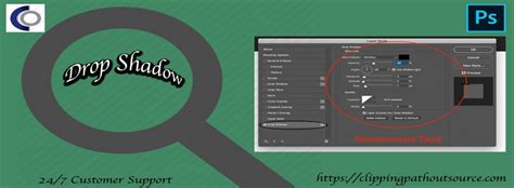 Why Drop Shadow Is Necessary For Photo
