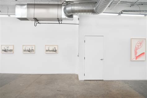 Devra Fox Wish Bone Exhibitions Nicodim Gallery