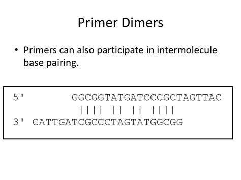 Primer Dimer Tm At Katherine Edmunds Blog