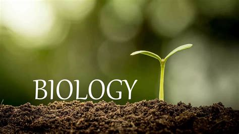 Function Of Cell Membrane And Permeability Pptx