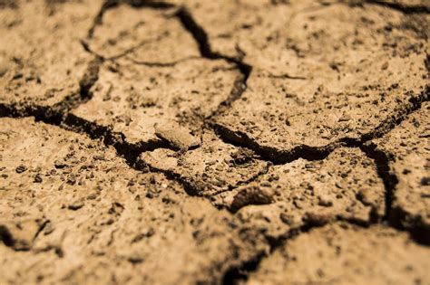Drought Aridity Dry Free Photo On Pixabay