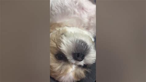 헤어지자고 나 자는중인데 Youtube