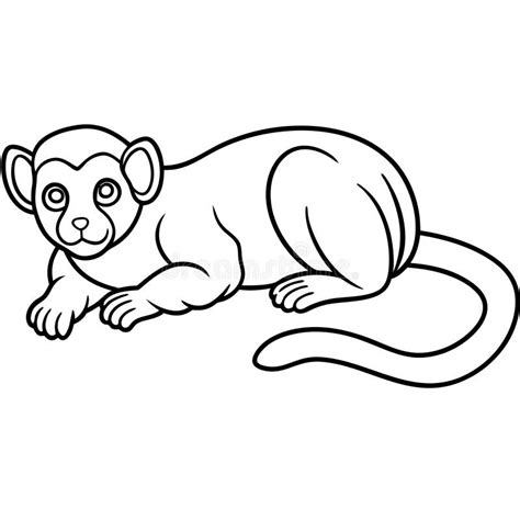 Cuscus Monkey Lies Icon Vector Stock Vector Illustration Of Creative