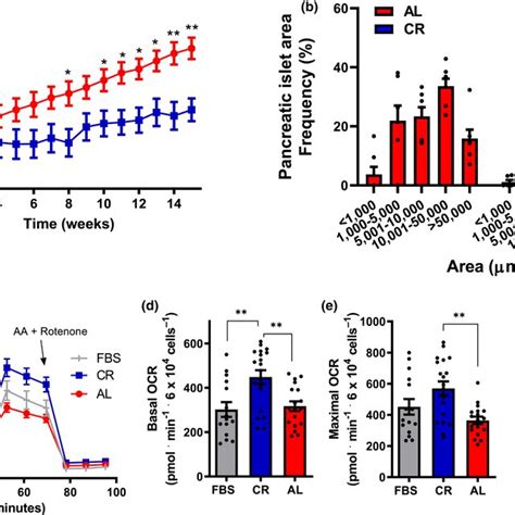 Female Lean Donor Plasma Increases β‐cell Mitochondrial Oxygen