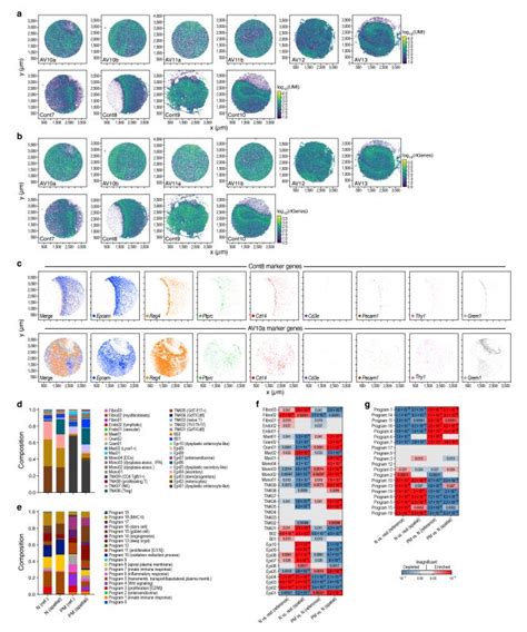 Genomics Rna Mrna Genes Spatialtranscriptomics Spatialbiology