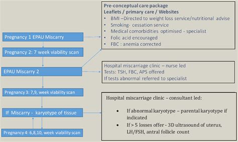 Clinical Approach To Recurrent Pregnancy Loss Obstetrics Gynaecology