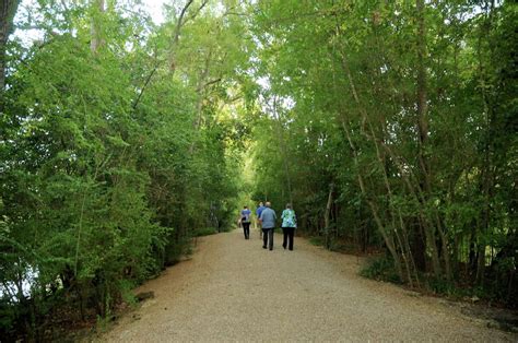 Blues On The Bayou Returned To Colleen Holthouses Palatial Hunters