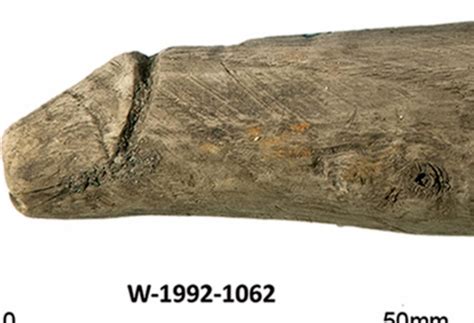 Scoperto Il Primo Sex Toy Dellantica Roma Si Pensava Fosse Uno