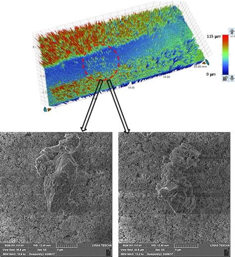3d Optical Image Of The Droplet Path And Sem Micrographs Of Dust