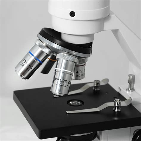 Microscope Ocular Lens Of A