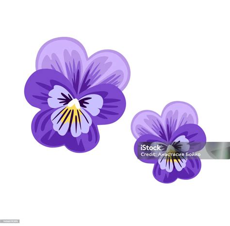 Purple Violet Flower Drawing