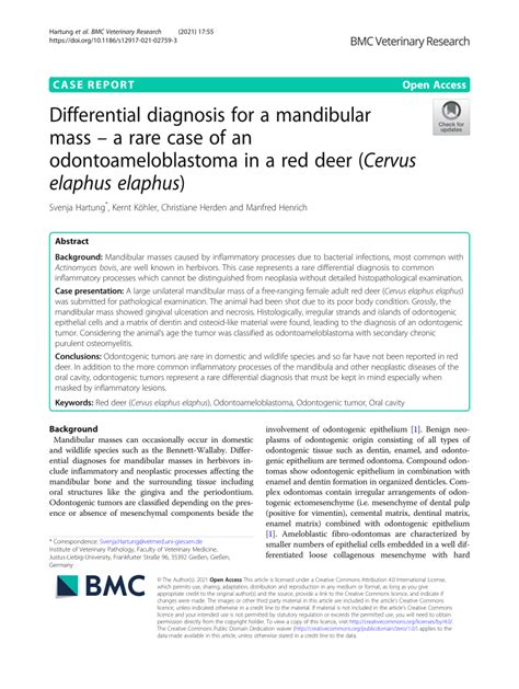 Pdf Differential Diagnosis For A Mandibular Mass A Rare Case Of An