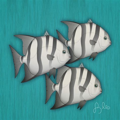 Atlantic Swordfish School