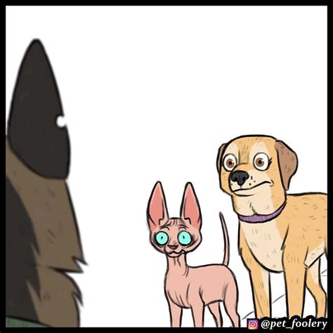 Adorable Comics About Pixie The Kitten And Brutus The Dog