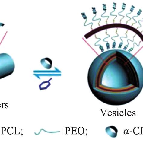 摇 Synthesis Of Temperature鄄responsive Polymer Fluorescent Switches [37] Download Scientific