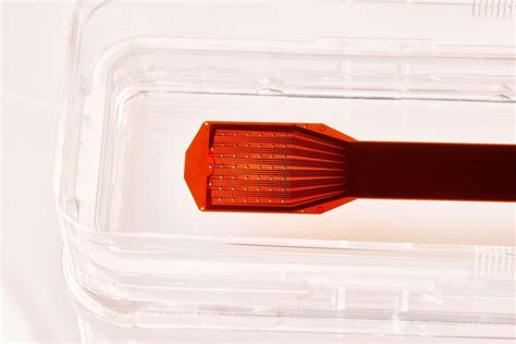 A Neuralink Rival Put Brain Implants In Three Patients—for 15 Minutes