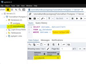 How To Set Database Connection Limits In PgAdmin