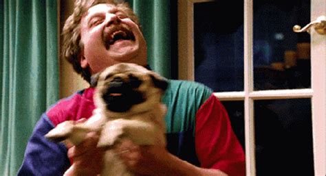 Dancing Pug S