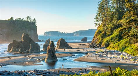 Cruise The Puget Sound And San Juan Islands Flying Longhorns