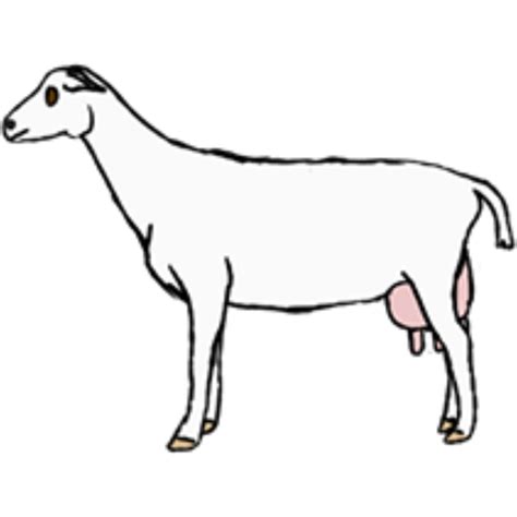 Fsr Timber By Daybreak Arpg On Deviantart