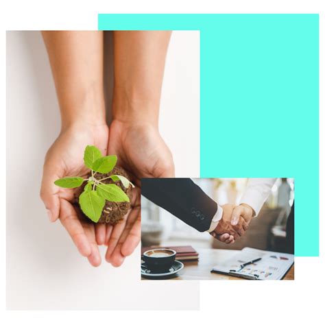 About Uptain Loans For Business Owners And Expats