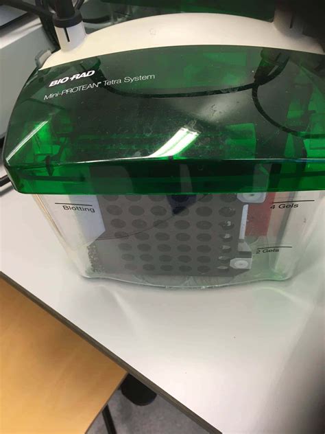 Bio Rad Mini Protean Tetra Vertical Electrophoresis Cell Labmakelaar