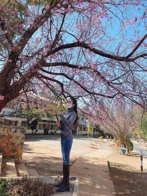 မြင်ရခဲပြီး အရမ်းလှတဲ့ ချယ်ရီပန်းလေးတွေနဲ့အမှတ်တရရိုက်ထားတဲ့ပုံလေးတ