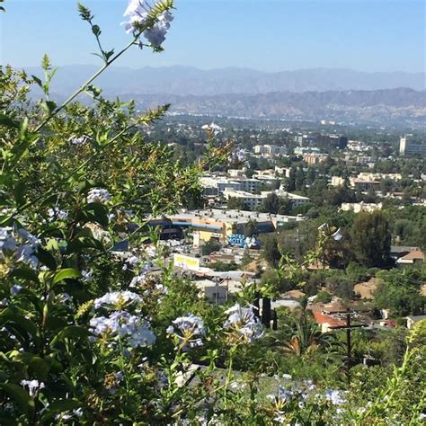 Page 14 Sofia Madagascar Images Free Download On Freepik