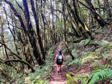 Best Hiking On La Gomera Top 13 Hikes