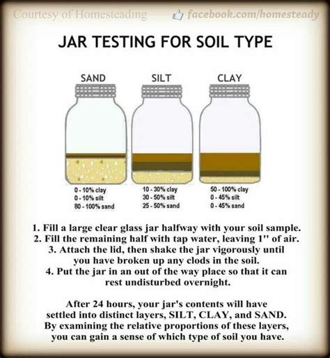 Boost Your Garden Soil With These Superpowered Tips