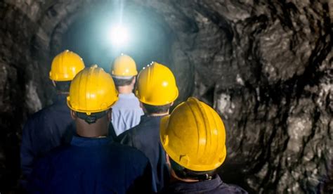 Certex International Certification Excellence