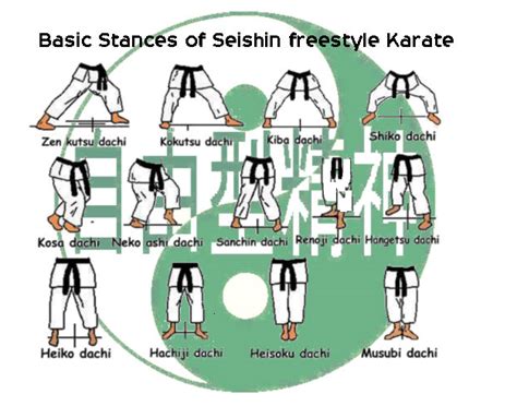 Karate Stances Black Belt Ireland