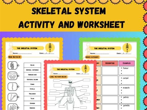 Human Body Systems Skeletal System Worksheets And Activities
