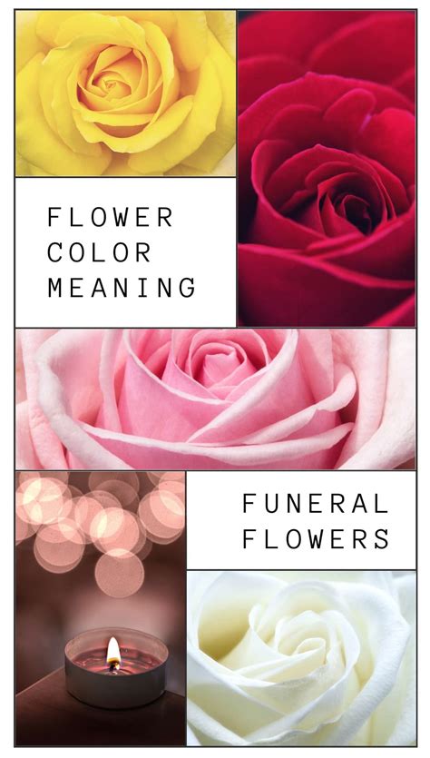 Flower Color Meanings For Funerals At Leona Freedman Blog