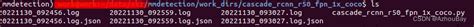 The `numclasses` 80 In Shared2fcbboxhead Of Mmdataparallel Does Not