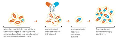 Antibiotics Superbugs And Everything You Need To Know New African Scientist
