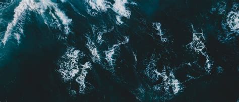 Afu Vs Cfu In Probiotics Why Afu Counts Matter Enviromedica