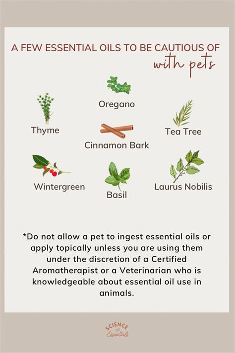 How Do Essential Oil Diffusers Work Artofit