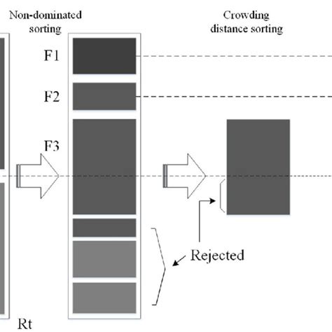 the implementation of nsga ii download scientific diagram