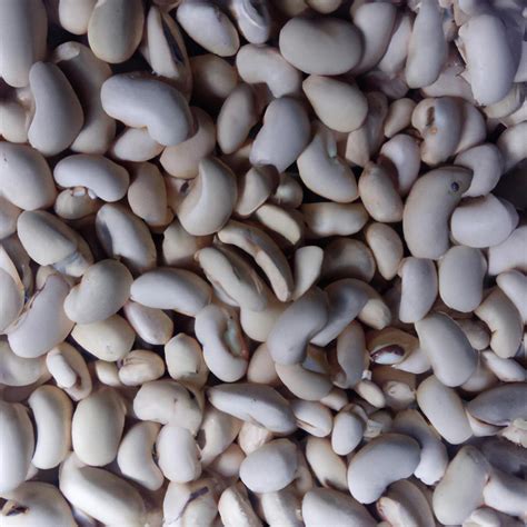 Ile Kcal Ma 1 Kg Bobu 1 Kg Bobu Kcal Kalorynkapl Dieta