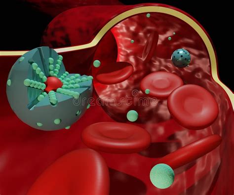 Encapsulation Mesoporous Silica Nanoparticles Drug Delivery Release In