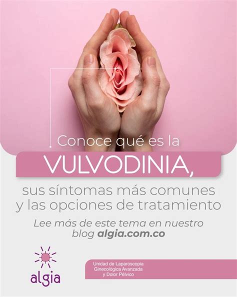 Conoce Qué Es La Vulvodinia Sus Síntomas Más Comunes Y Las Opciones De