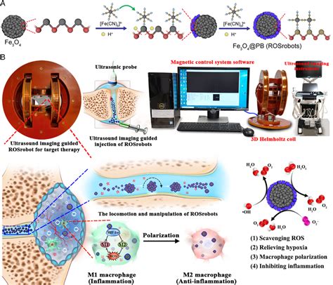 Conceptual Overview Of Ros‐scavenging Nano‐robots Rosrobots For Download Scientific Diagram