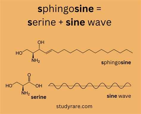 Sphingosine Structure Solved A Sphingosine Structure Is Hn He Ch Hc N
