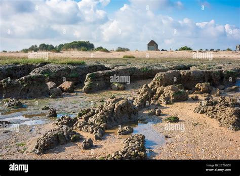 Essex Beach Coast View Of The Rugged Landscape Alongside The Beach At