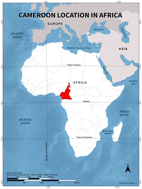 Cameroon Map Map Africa Cameroon Stock Vector Royalty Free 317249945