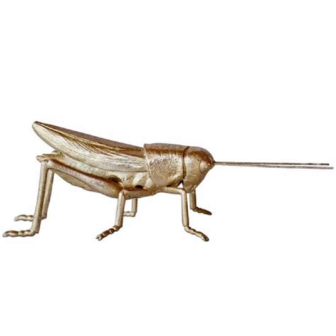 Decorative Gold Grasshopper Home Décor Home Interior Design