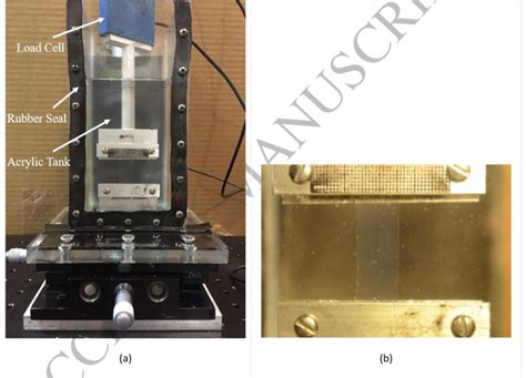Experimental Setup A Overview Showing Load Cell Blue Acrylic Tank