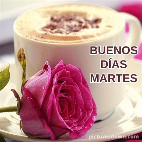 Buenos Días Feliz Martes Con Café Imagen Rosa