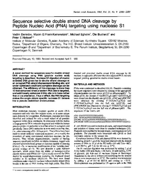 Pdf Sequence Selective Double Strand Dna Cleavage By Peptide Nucleic Acid Pna Targeting